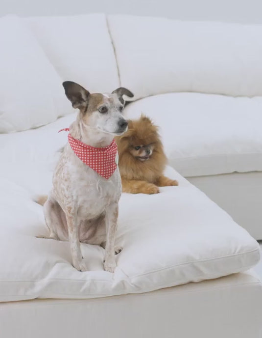 Sofatica® | Modular Cloud Couch & Sectionals from $449